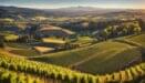 Map of Oregon Wine Country: Detailed Guide